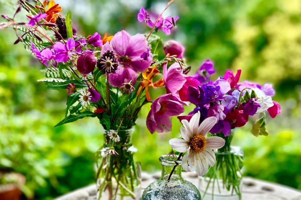 Zomerse tip: bloemen plukken! - Tuincentrum en Bloemist in regio ...